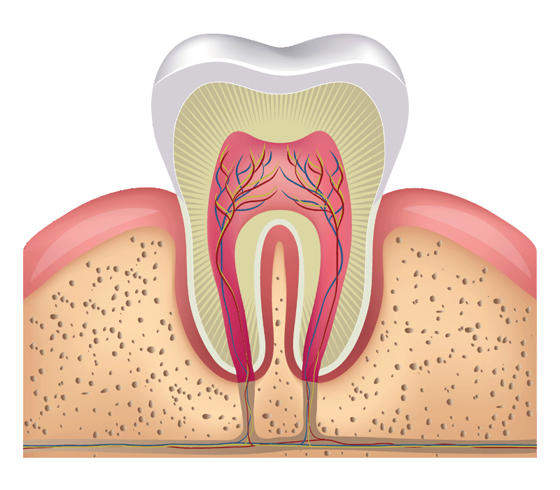 Root Canal Treatment for Children | 5* Kids Endodontist London